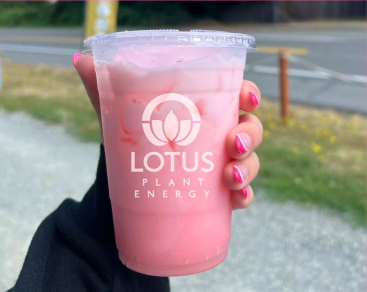 Study Buddy Lotus – Lotus Plant Power