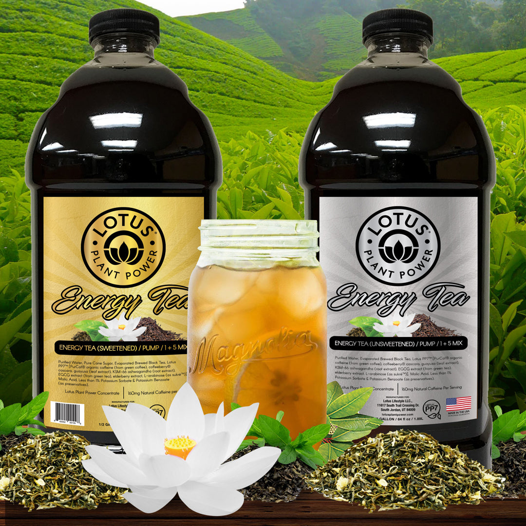 Lotus Energy Teas - Naturally Sweetened or Unsweetened – Lotus Plant Power